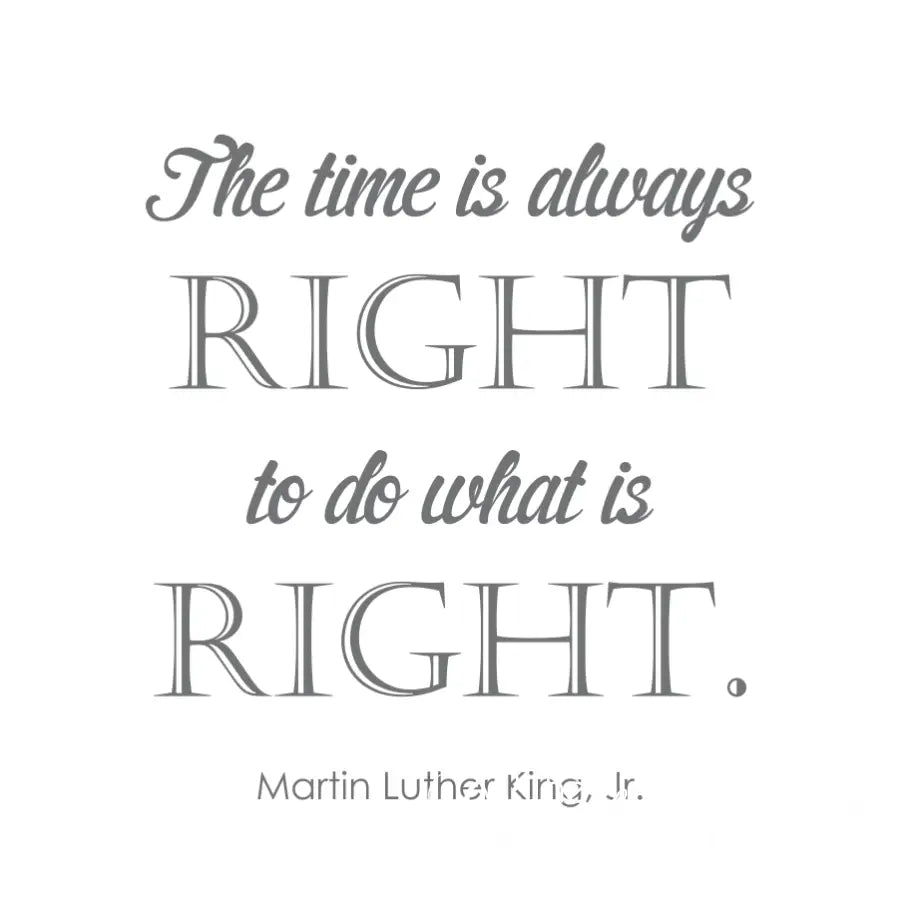 The Time Is Right - MLK Quote Decal Art | School Classroom Wall Decor ...