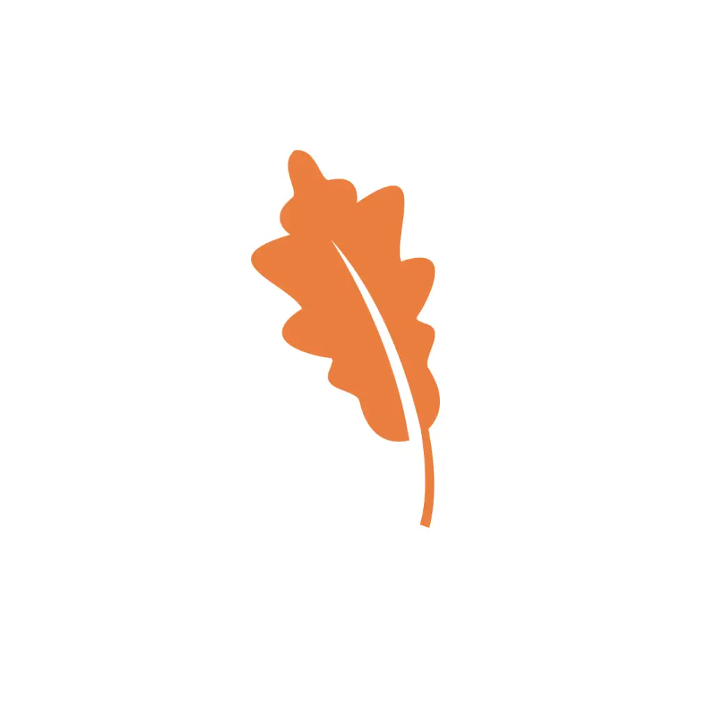 Realistic Oak Leaf Wall or Window Decals | 80+ Colors – The Simple Stencil